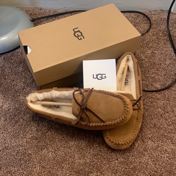 UGG | Shoes | Brand New Never Worn Size 5 Chestnut Color Uggs | Poshmark